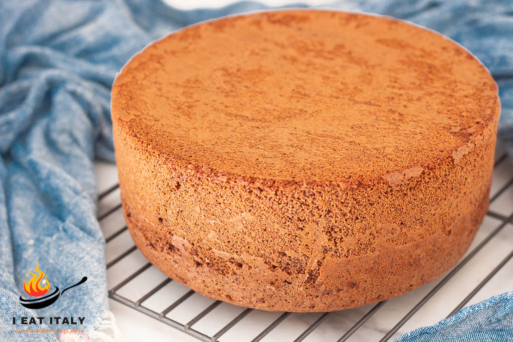 High and perfect cocoa sponge cake - I Eat Italy