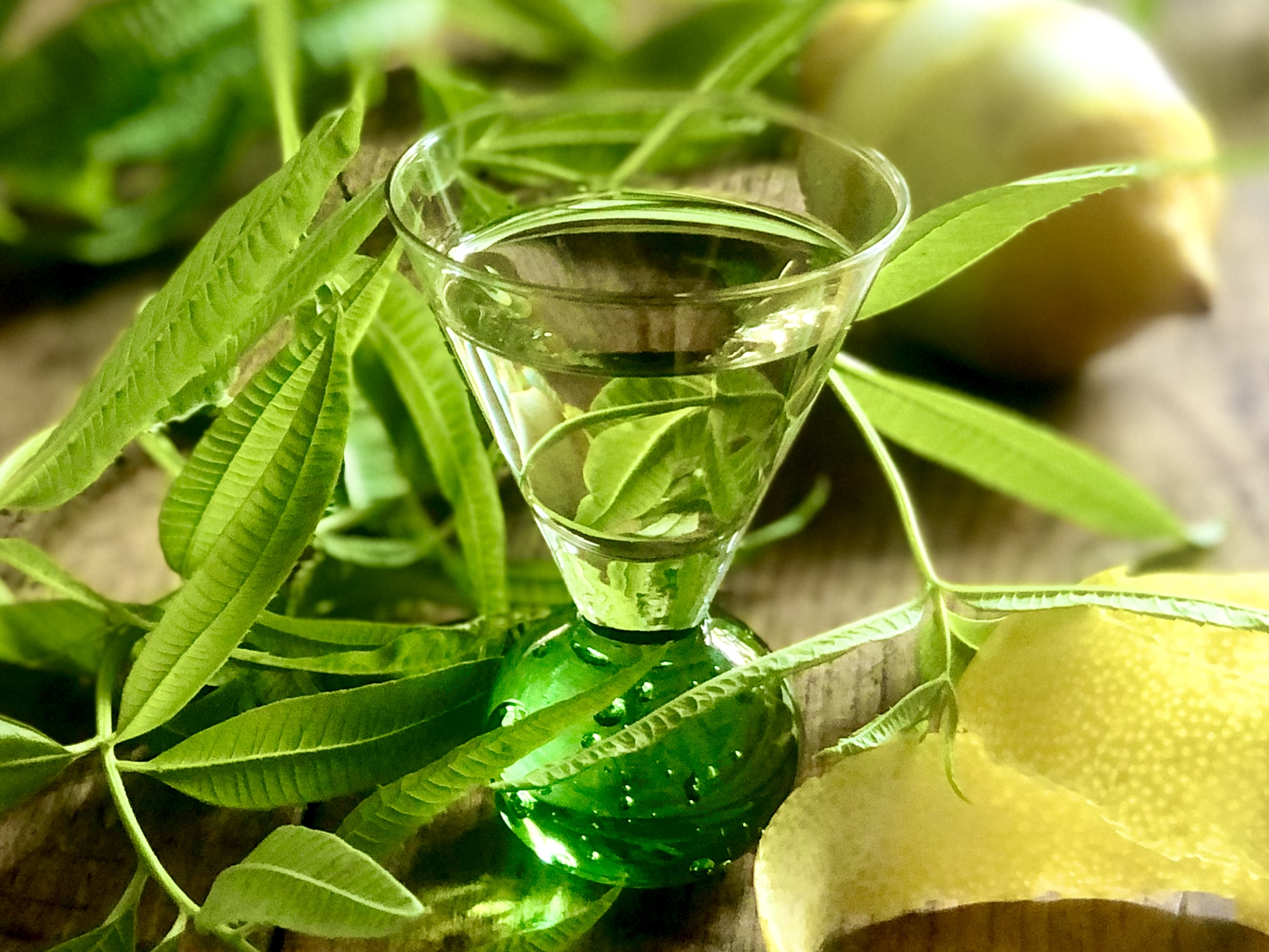 Erba Luisa Liqueur is a grandma's recipe